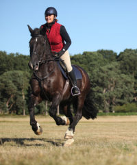 Gallery – Stag Lodge Stables