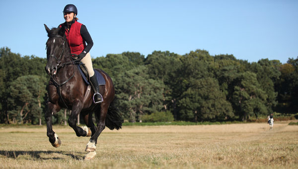 Horse Riding for Adults – Stag Lodge Stables