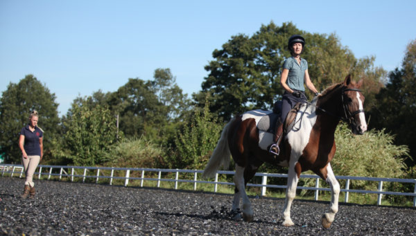 Private Lessons for Adults – Stag Lodge Stables