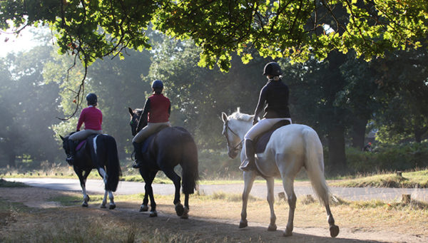 Adult – Pub Ride – Stag Lodge Stables