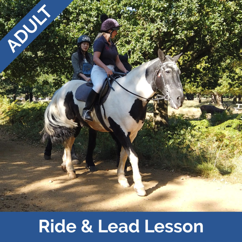 Ride & Lead Lessons for Adults – Stag Lodge Stables