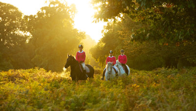 Private & Group Hacks for Adults – Stag Lodge Stables